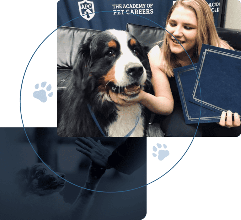 The Academy of Pet Careers - A Trade School for Dog Nerds