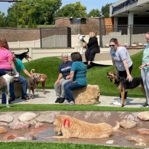 In-Person Dog Trainer Program | The Academy of Pet Careers