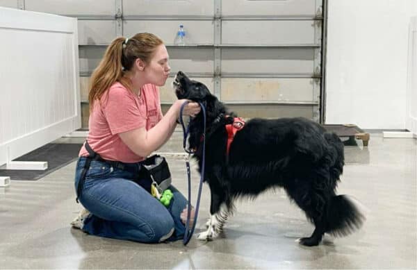 Become a Dog Trainer | The Academy of Pet Careers