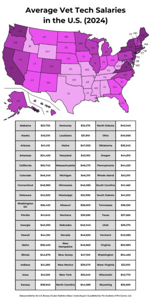 Average Vet Tech Salary in 2024: How Much Do Vet Techs Make? - The ...