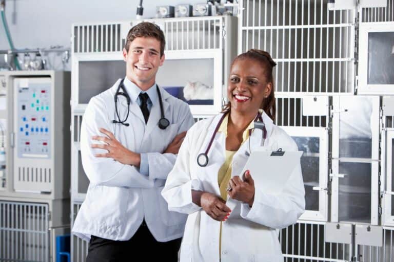 Average Veterinarian Salary in 2024 - The Academy of Pet Careers