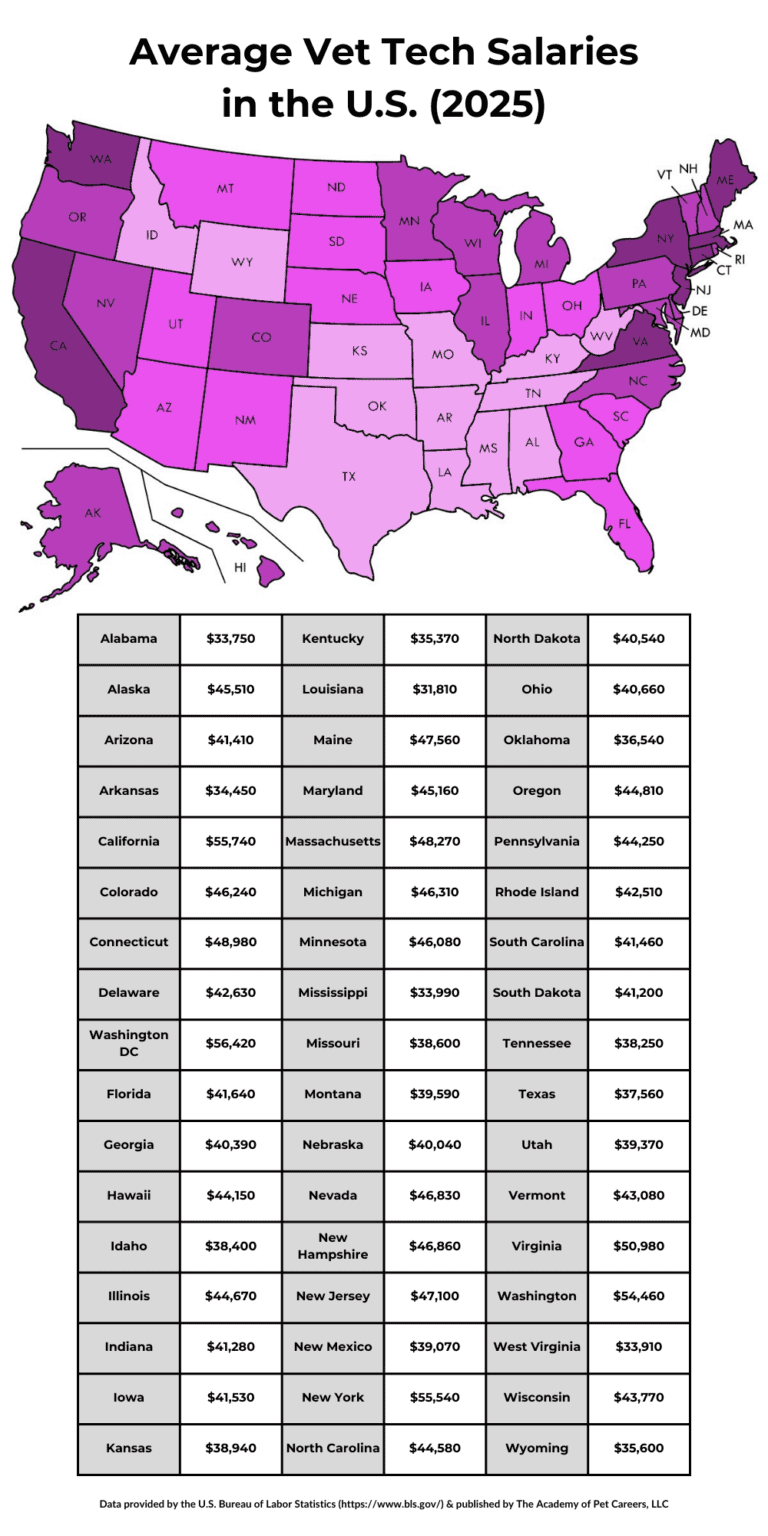 How Much Do Vet Techs Make? Average Vet Tech Salary in 2025