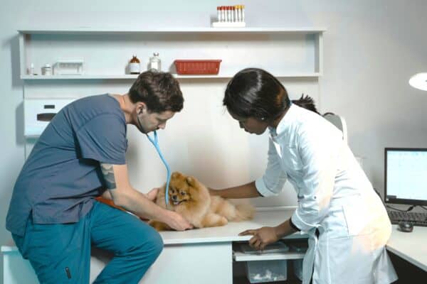 How Much Do Vet Techs Make? Average Vet Tech Salary in 2025
