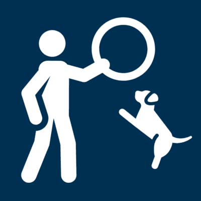 Starting a Dog Training Business: The Ultimate Guide