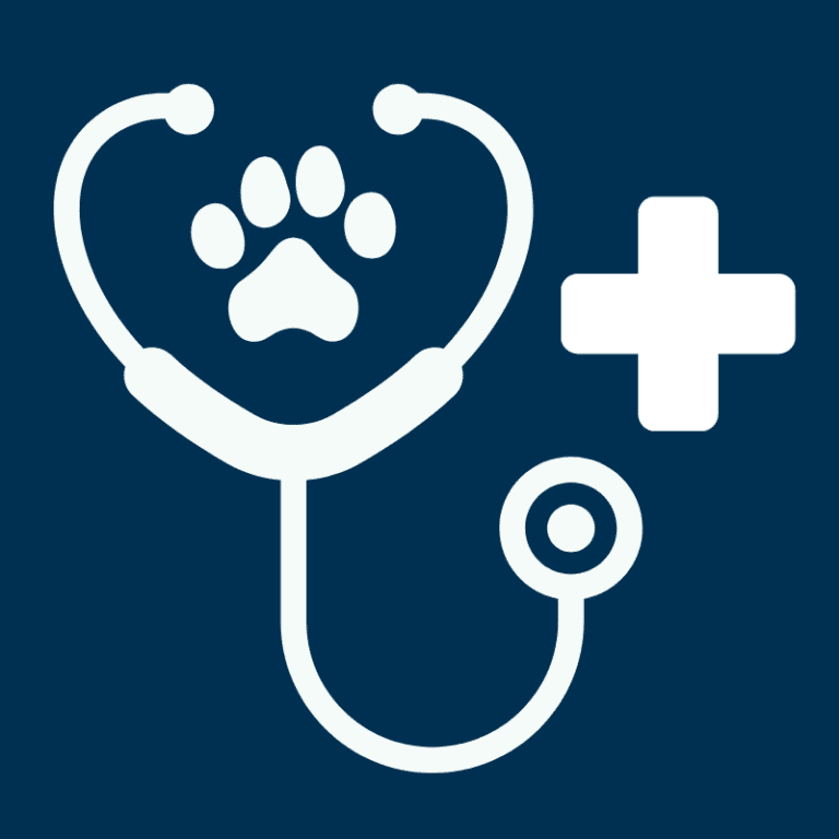 Best Vet Tech Schools: Top 5 Vet Tech Programs in 2025