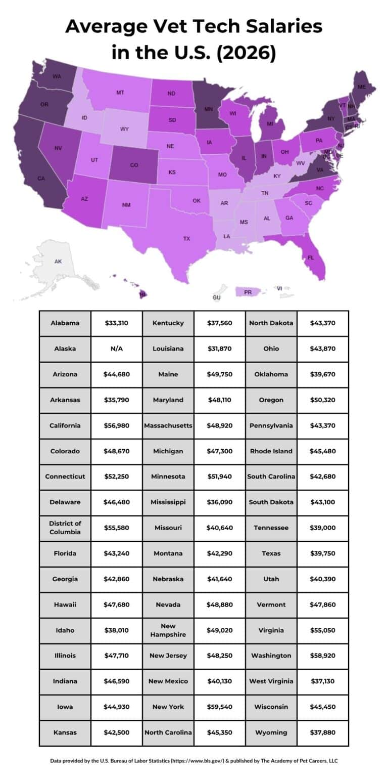 How Much Do Vet Techs Make? Average Vet Tech Salary in 2026