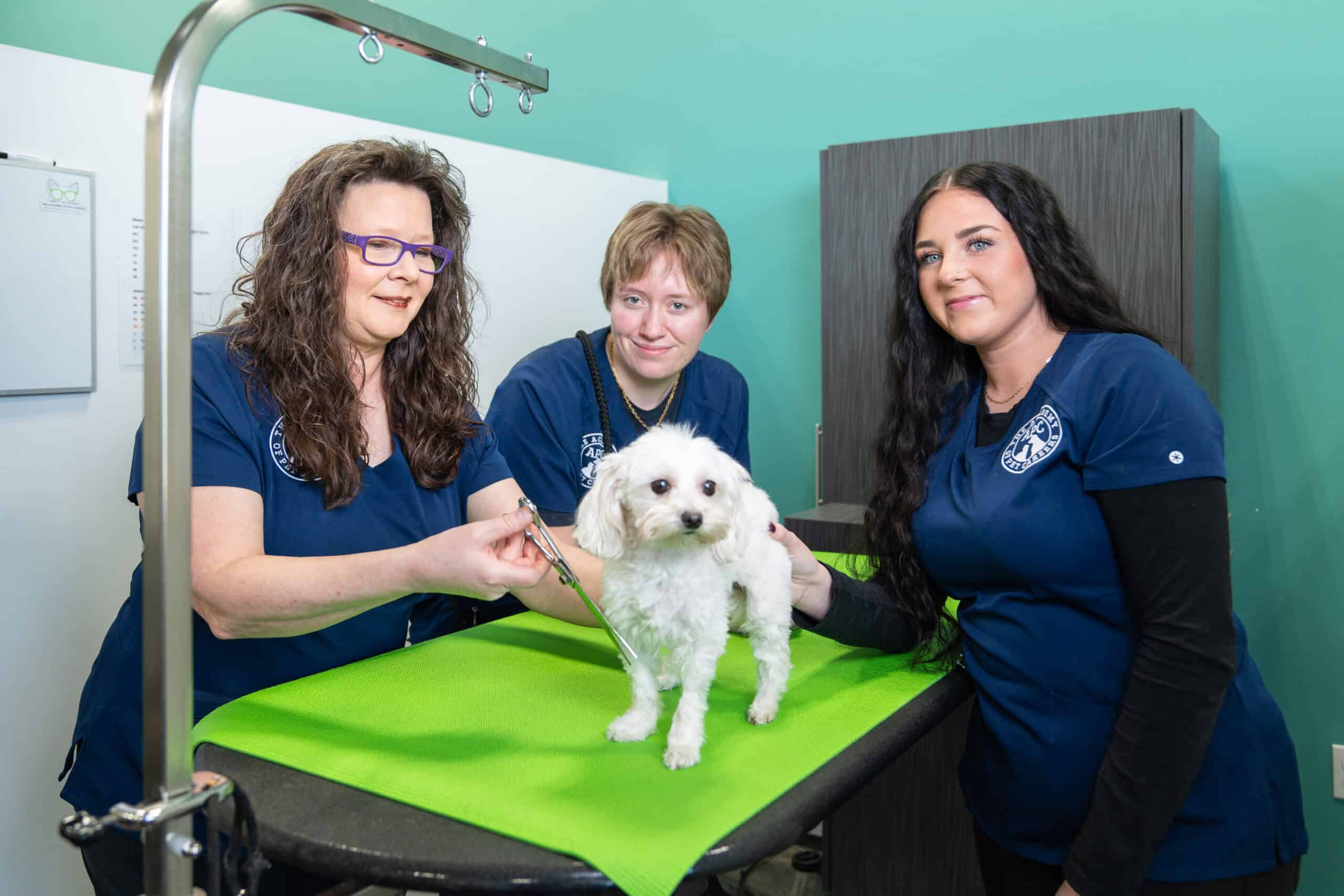 Dog Grooming School - The Academy of Pet Careers