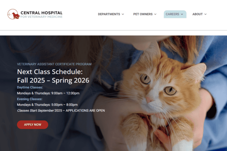 Best Vet Assistant Programs: Top 6 Vet Assisting Programs in 2025
