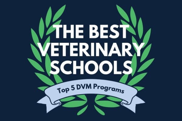 Best Vet Schools in The US: Top 5 DVM Programs in 2025